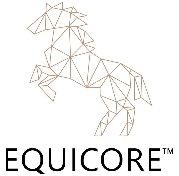 Equicore - Horse Riding Tights – EQUICORE